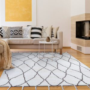 Area Rugs Collection Shop Online - Alexanian