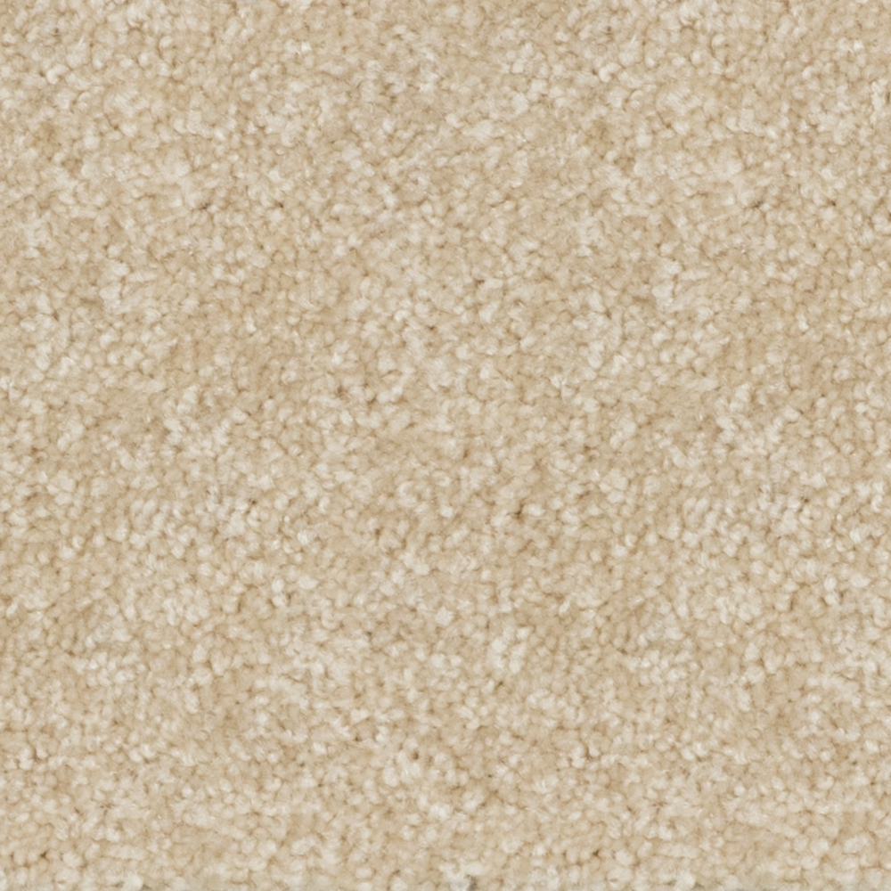 Carpet - Alexanian